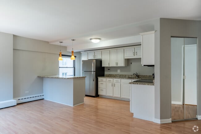 1 Bedroom Apartments for Rent under $1,800 in Chicago IL - 1,907 ...