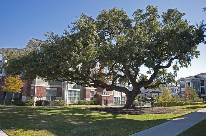 3010 W Loop 1604 N Unit b3, San Antonio, TX 78251 - Condo for Rent in San Antonio, TX ...