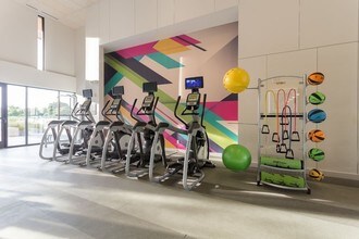 Lamar Union Rentals - Austin, TX | Apartments.com