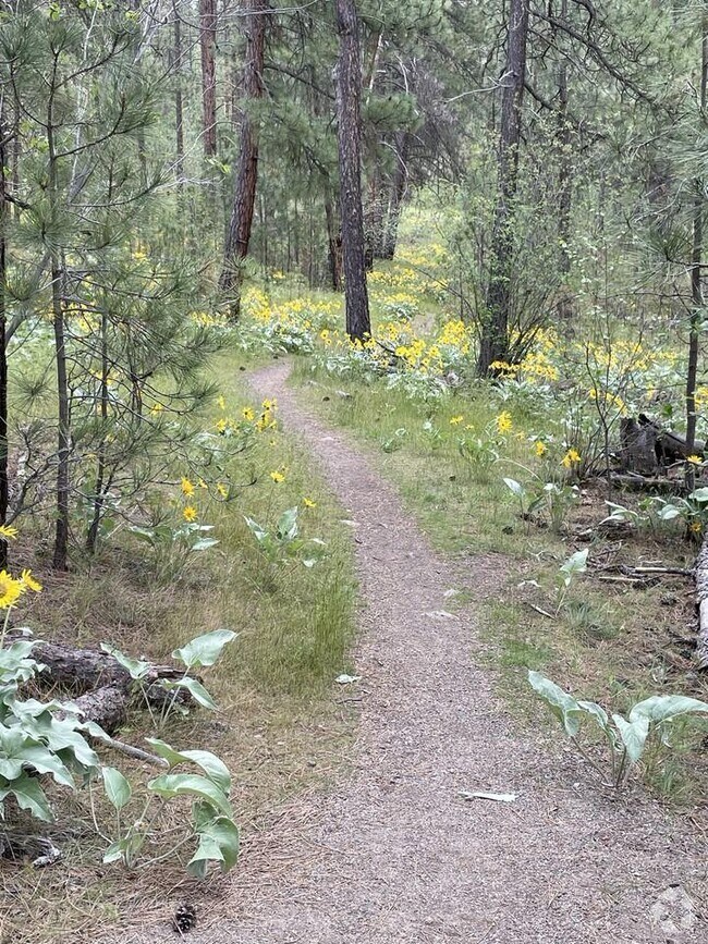 Overlook at Qualchan Apartments under $3,000 - Spokane, WA - Updated ...