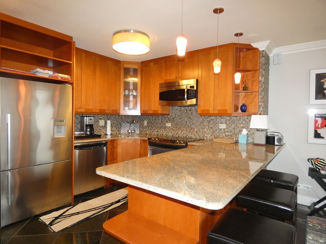 111 E Chestnut St Unit 15d, Chicago, IL 60611 - Apartments in Chicago ...