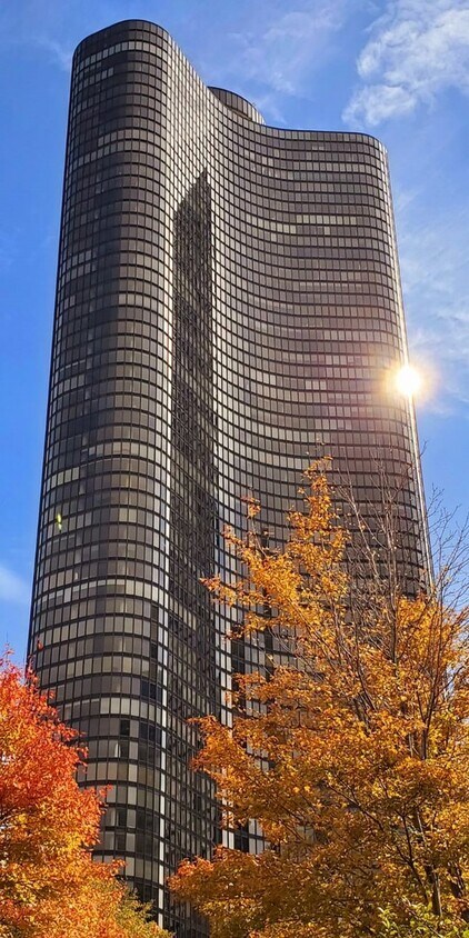 505 N Lake Shore Dr Unit 6112-6101, Chicago, IL 60611 - Condo for Rent ...