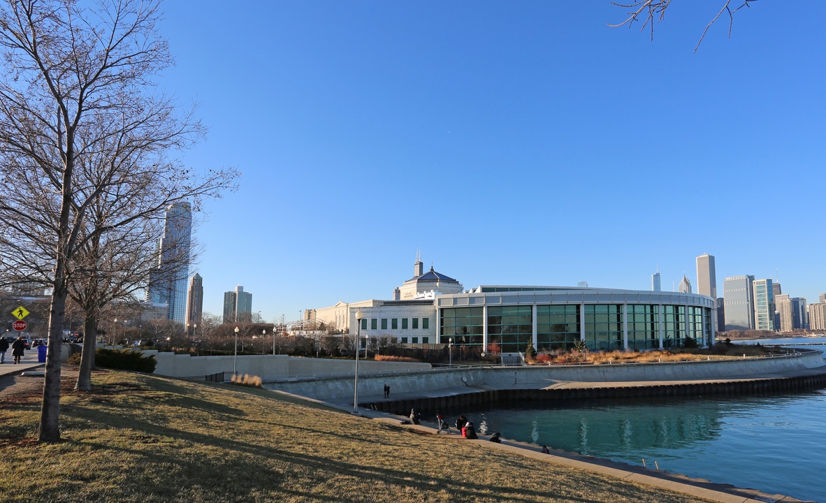 Is South Loop a Good Place To Live in Chicago IL? - Neighborhood Guide ...