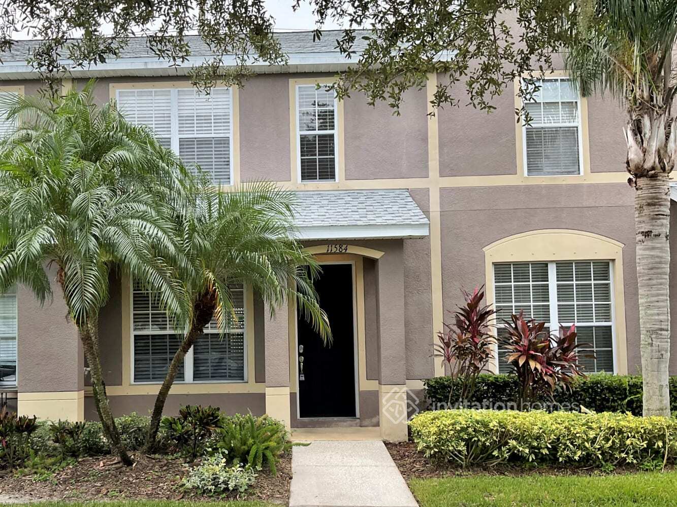 11584 Declaration Dr, Tampa, FL 33635 | Apartments.com