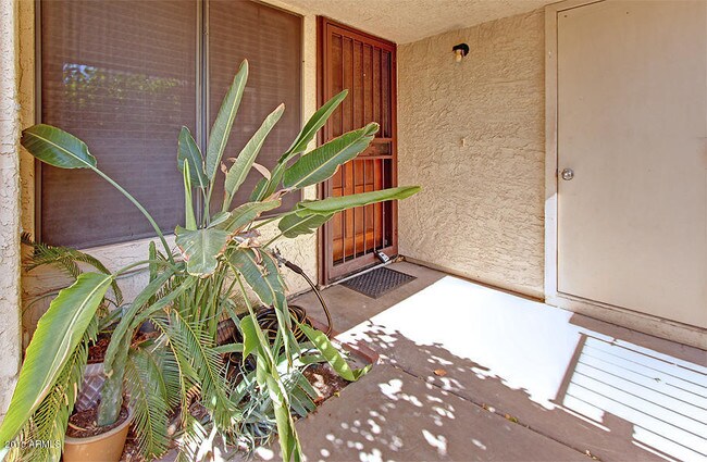 700 E Mesquite Cir Unit L107, Tempe, AZ 85281 - Room for Rent in Tempe ...
