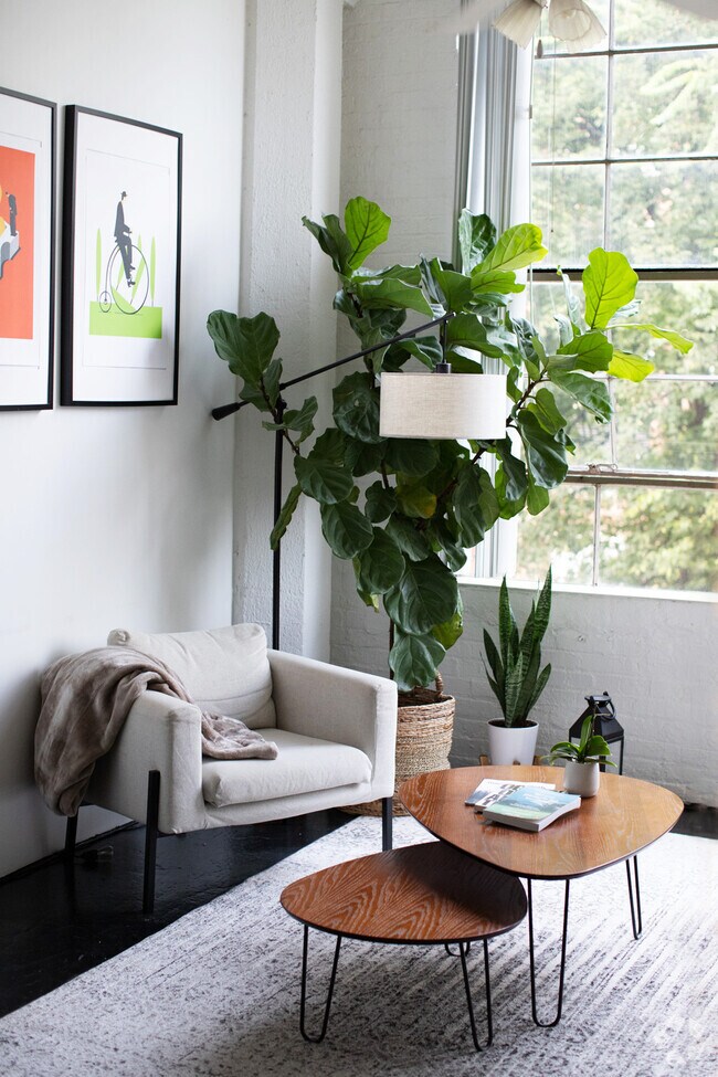 Virginia Highland - Atlanta, GA: Neighborhood Guide | Apartments.com