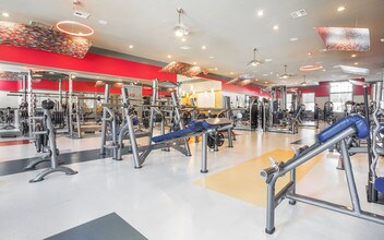 Riata Rentals - Austin, TX | Apartments.com