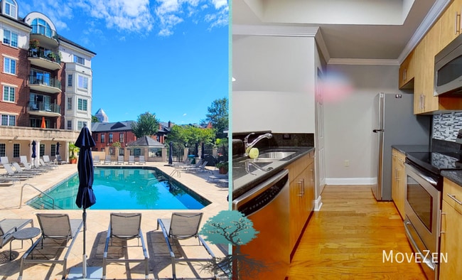 Apartments for Rent under $3,000 in Third Ward, Charlotte - Page 3 ...