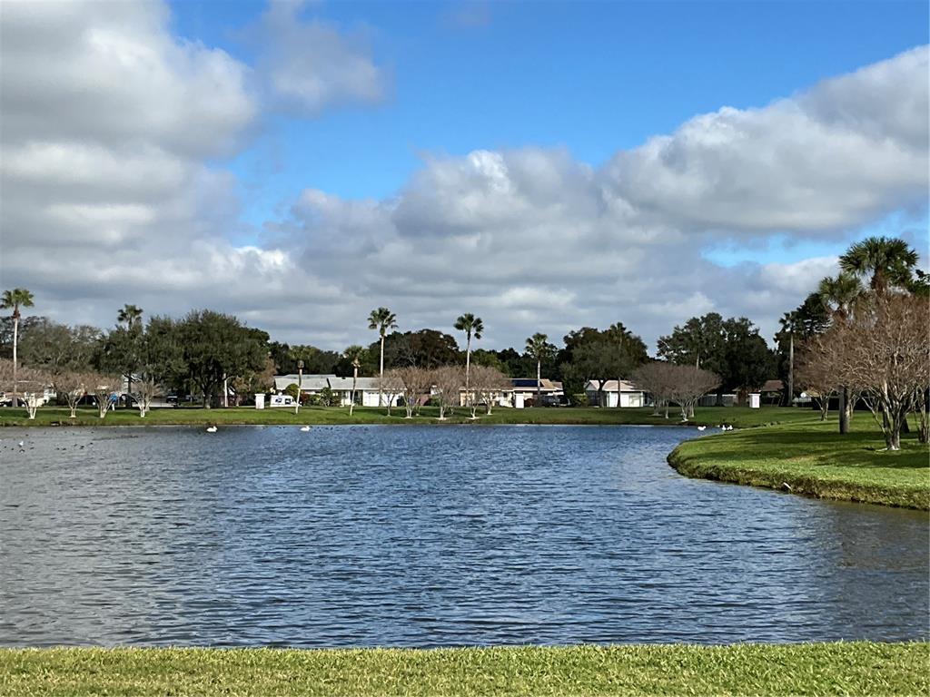 4832 Cobia Dr SE Unit A, Saint Petersburg, FL 33705 - Condo for Rent in ...