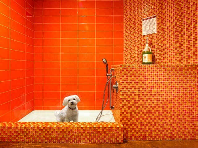 Allegro Apartments - Addison, TX | Apartments.com