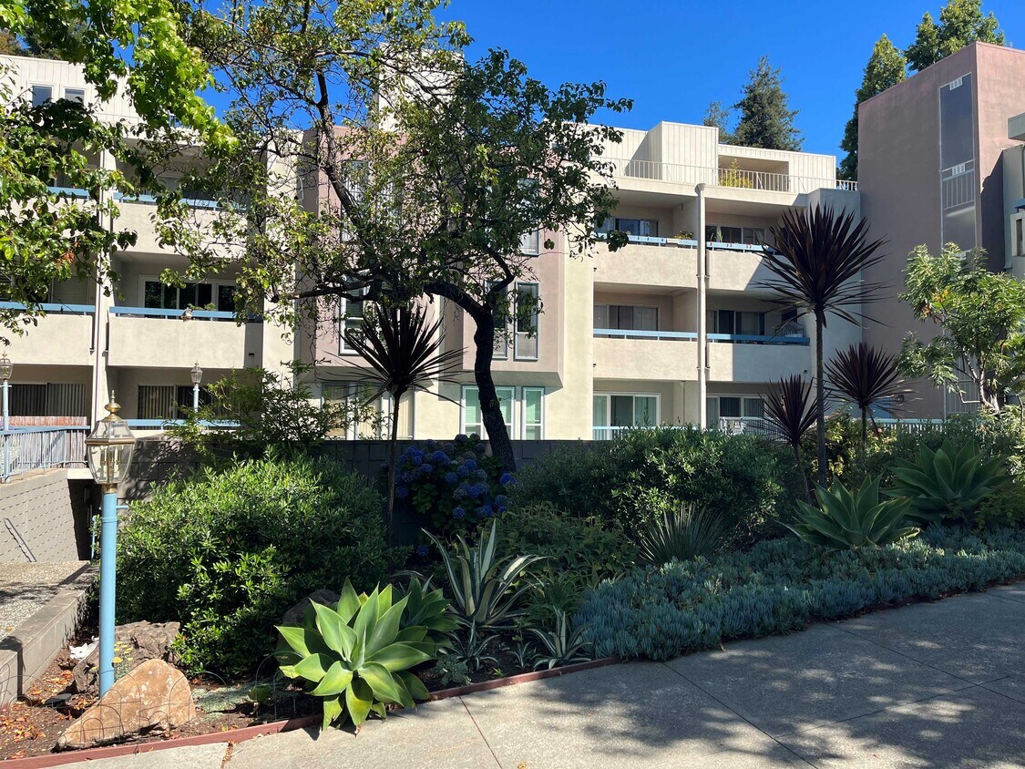 385 Jayne Ave Unit 206, Oakland, CA 94610 - Condo for Rent in Oakland ...