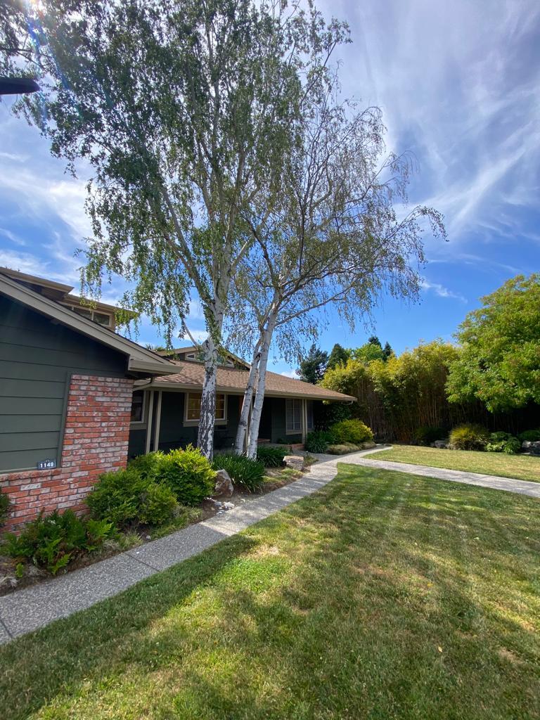 1148 Rimer Dr, Moraga, CA 94556 - House Rental in Moraga, CA ...