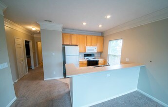 Carson Street Commons Rentals - Pittsburgh, PA | Apartments.com