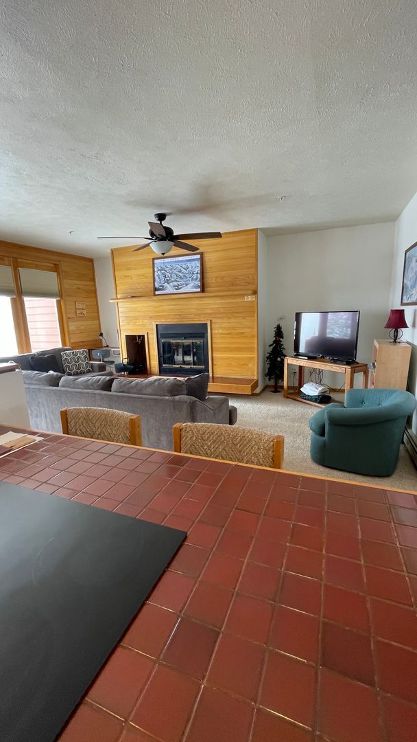 91415 Ryan Gulch Rd Unit TIMBER RIDGE CONDO, Silverthorne, CO 80498 ...
