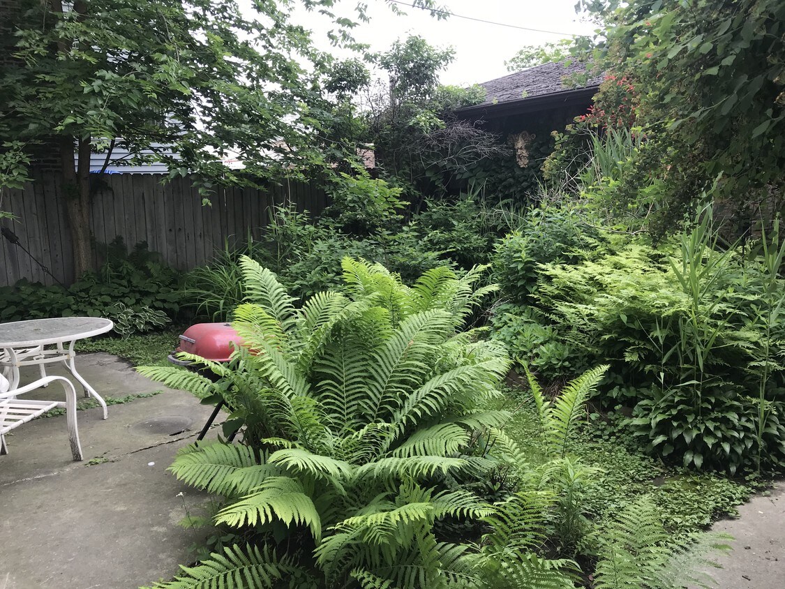 2208 W 37th St Unit 3, Chicago, IL 60609 - 2208 W 37th St Chicago, IL ...