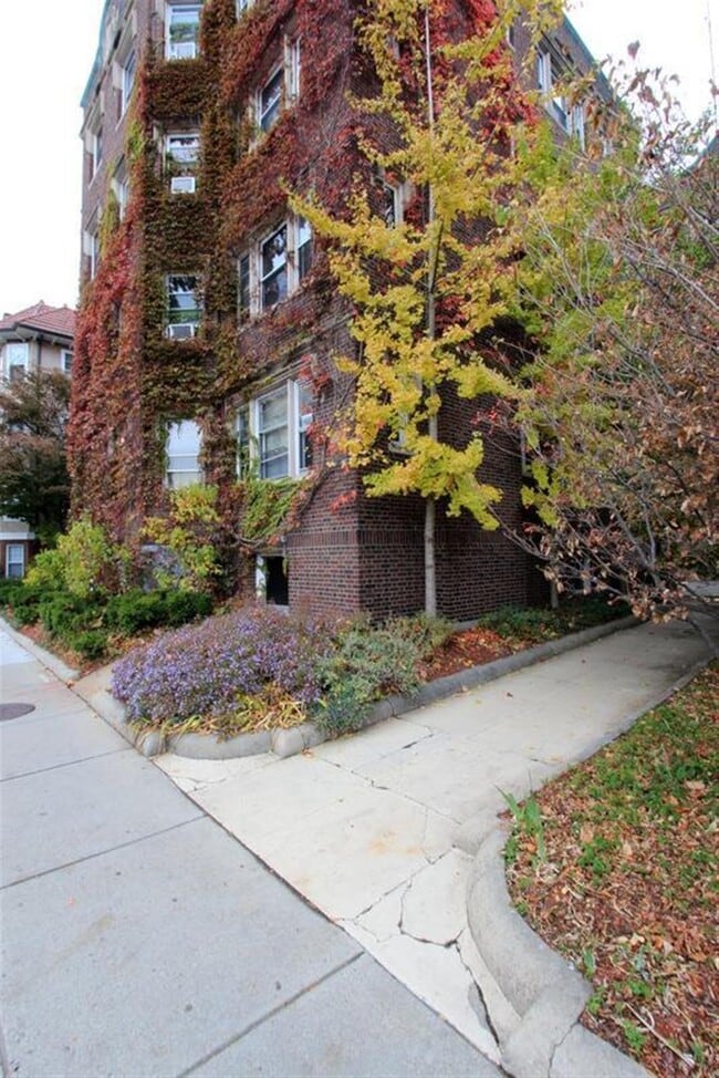 11 Linnaean St, Cambridge, MA 02138 - Townhome Rentals in Cambridge MA ...