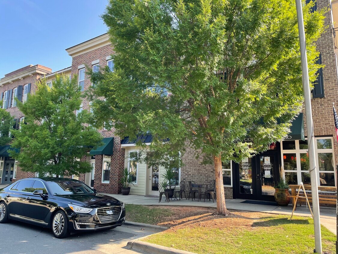 11046 Cedar Walk Lane, Charlotte, NC 28277 - House Rental in Charlotte ...