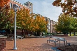 Residences At The Triangle Rentals - Austin, TX | Apartments.com