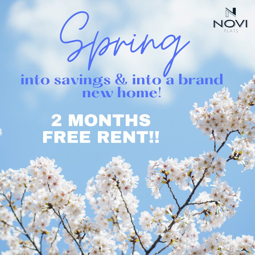 Novi Flats - Apartments in Concord, NC | Apartments.com