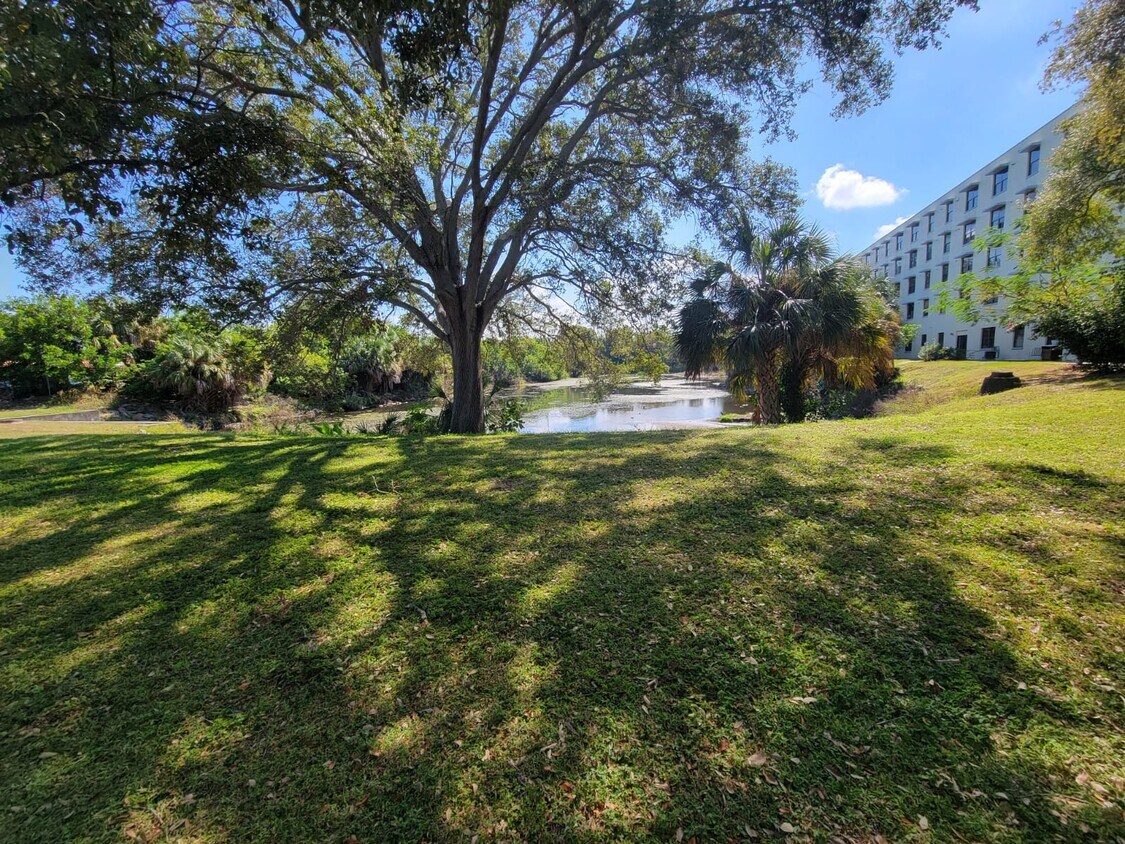 701 S Madison Ave Unit 316, Clearwater, FL 33756 - Condo for Rent in ...