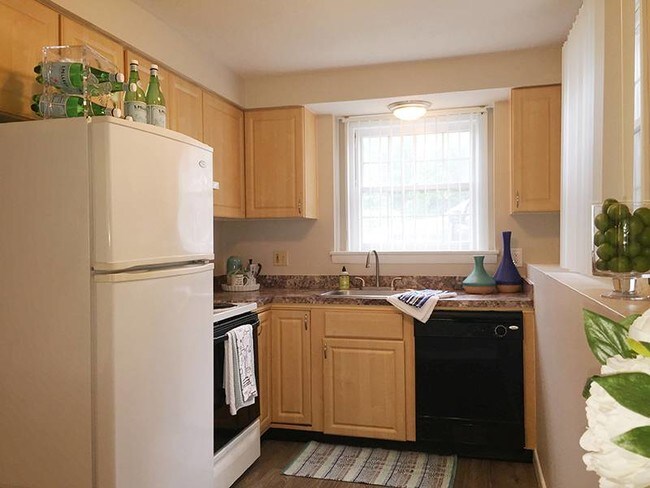 Alpine Commons Rentals - Amherst, MA | Apartments.com