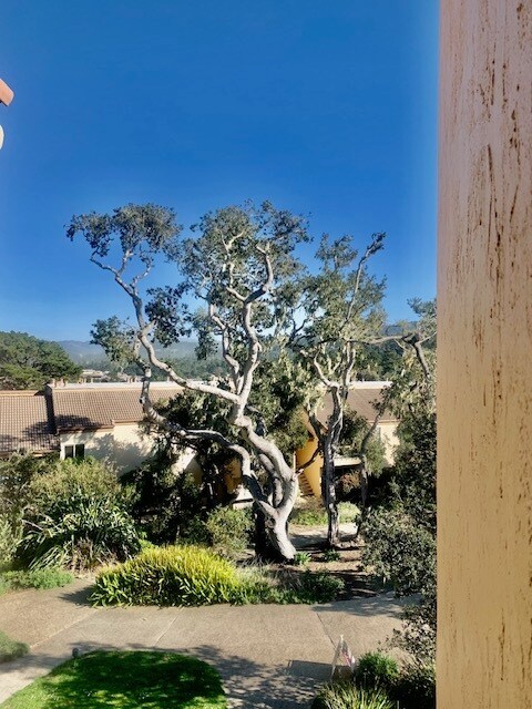 2205 Golden Oaks Ln Unit 2205, Monterey, CA 93940 - Condo for Rent in ...