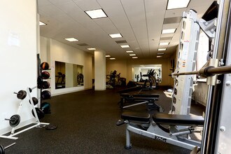 Del Coronado Rentals - Saint Louis, MO | Apartments.com