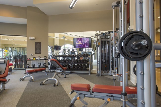 Domain Memorial Apartments - Houston, TX | Apartments.com