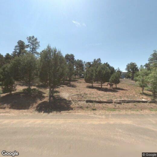 884 Dreamy Draw Cir, Show Low, AZ 85901 - House Rental in Show Low, AZ ...