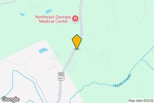 Villas at Old 441 - Apartments in Demorest, GA | Apartments.com